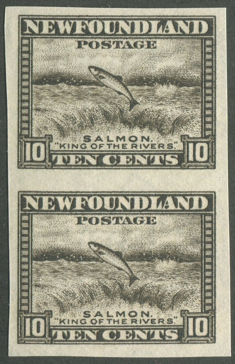 NEWFOUNDLAND #193a MINT IMPERF PAIR 190621 - Deveney Stamps